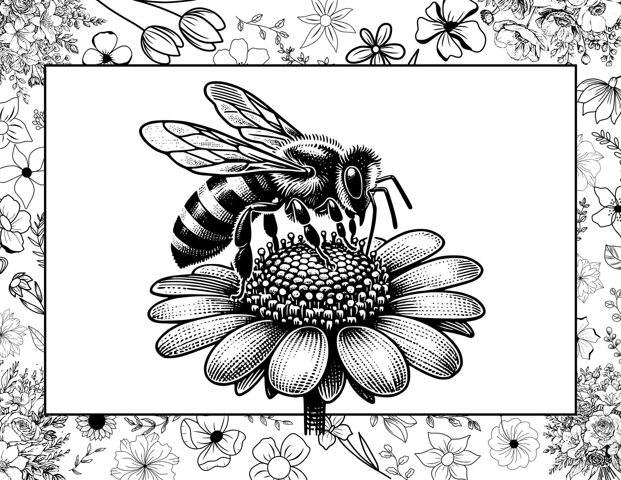 Bee Happy! Printable Bee Themed Coloring Pages. 11 Page PDF Set | Fun ...