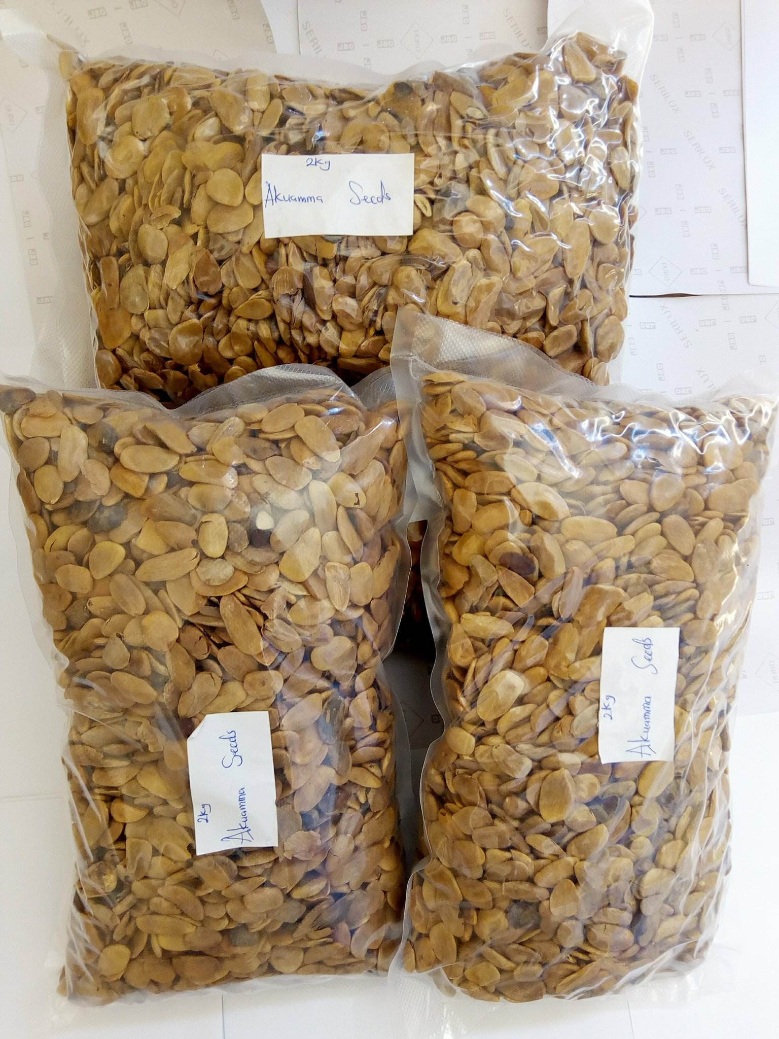 Akuamma Seeds From Ghana - Etsy
