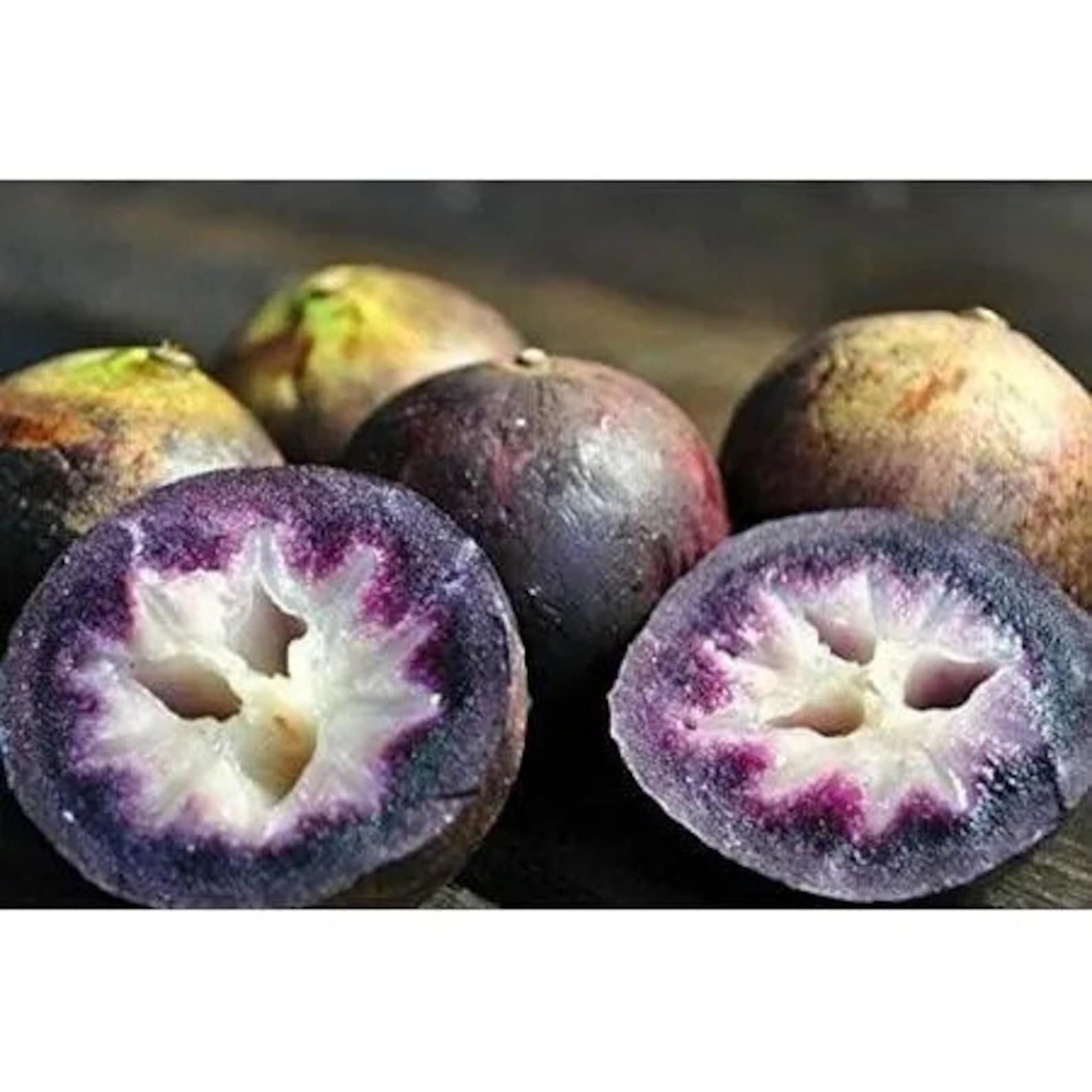 Star Apple Tree Green/purple Caimito Grafted Plant 2 Ft Tall - Etsy