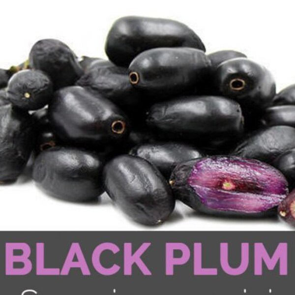 Black Java Plum Seeds - Etsy