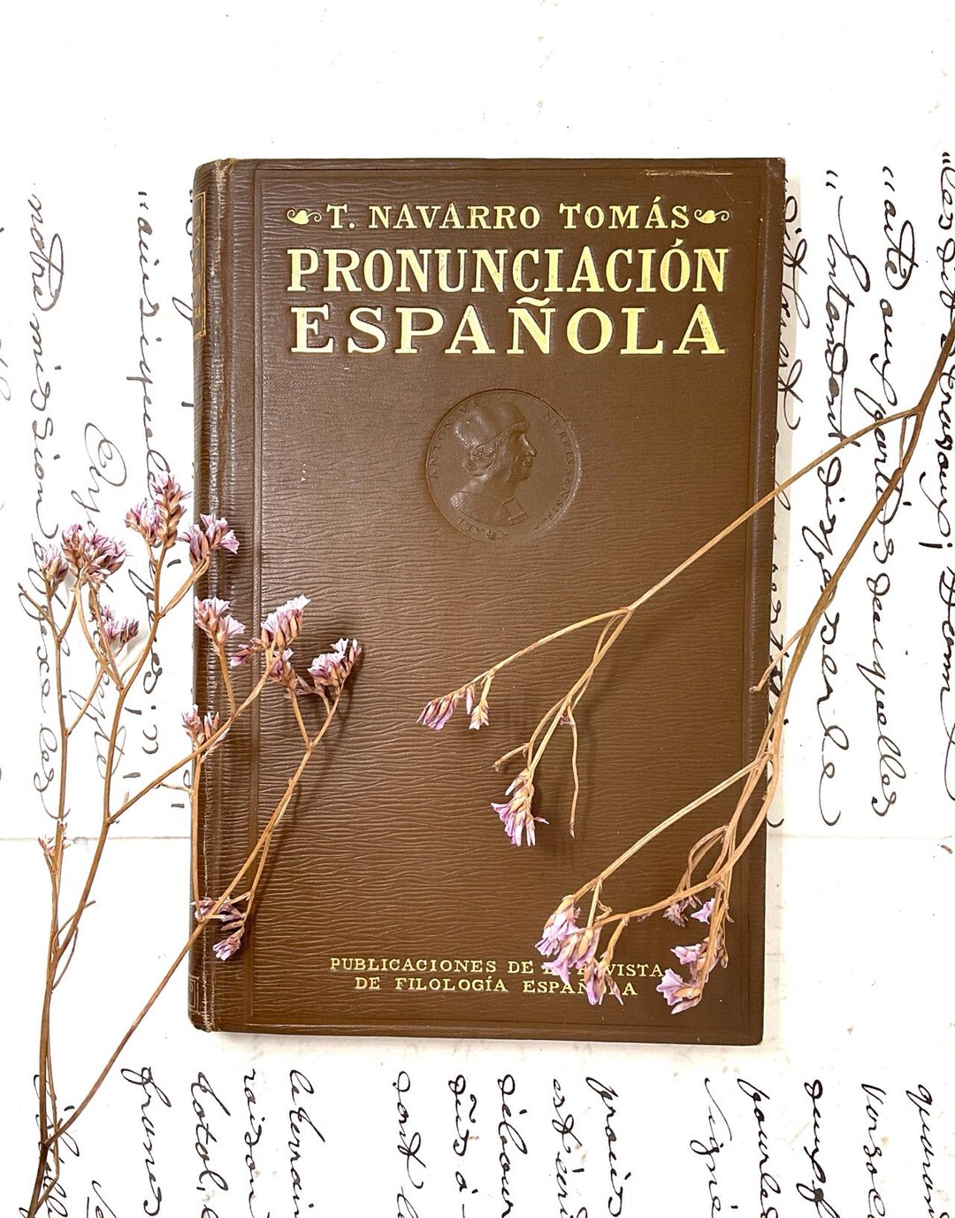 Manual De Pronunciacion Espanola | BY T. Navarro Tomas | 1918 Madrid ...