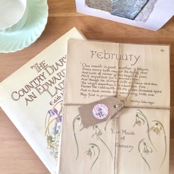 Country Diary - Etsy