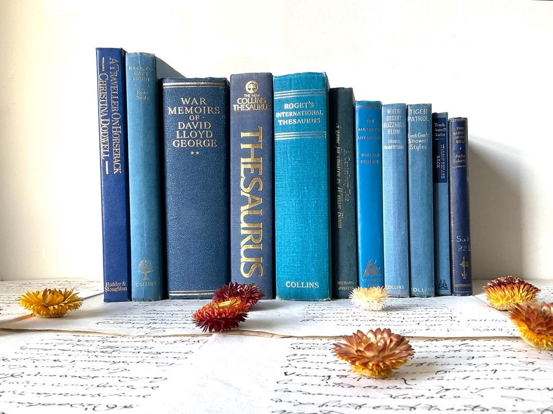 Blue Decorative Books X 11 | Vintage Book Stack | Book Bundle ...