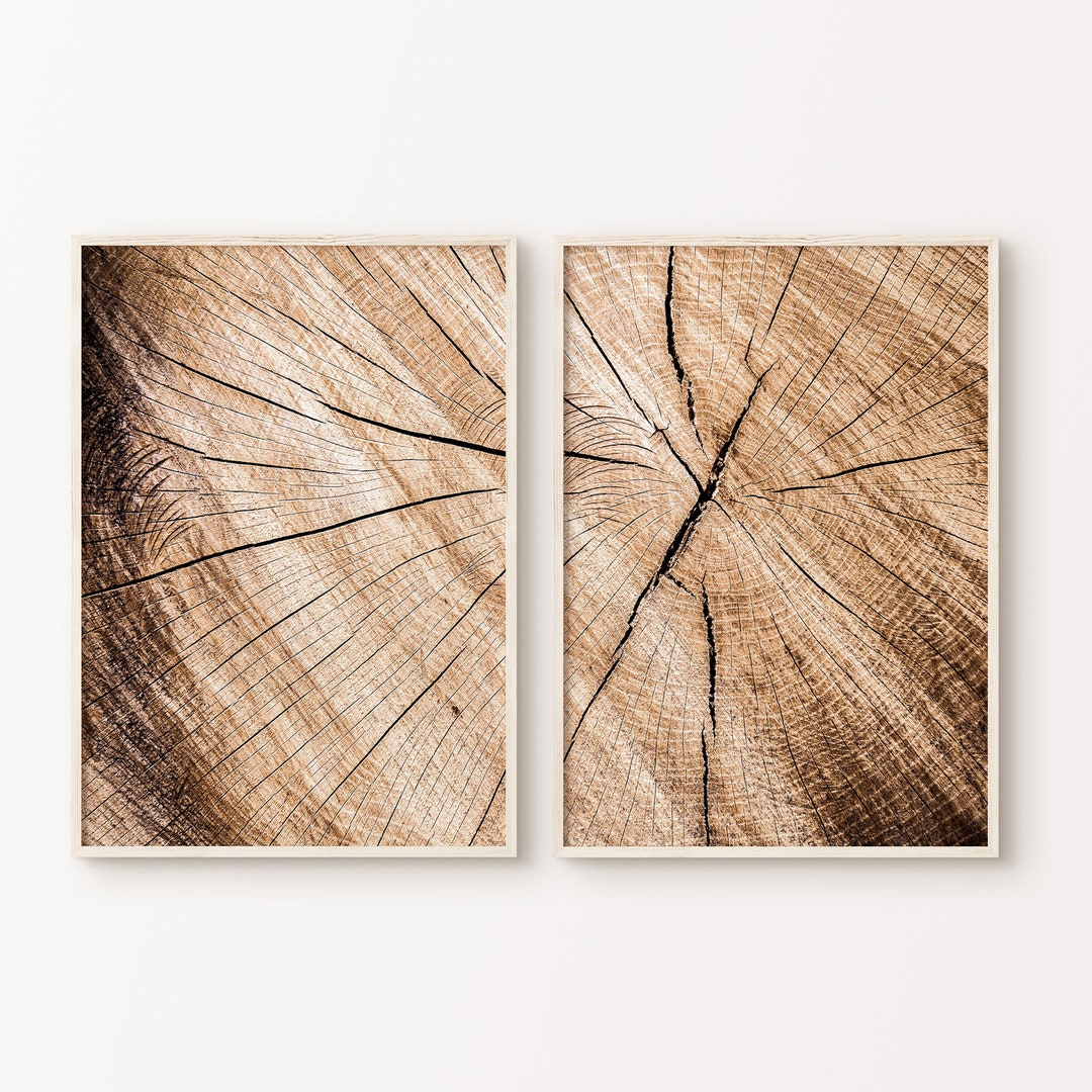 Tree Ring Prints, Printable Tree Ring Set of 2 Split Photography ...