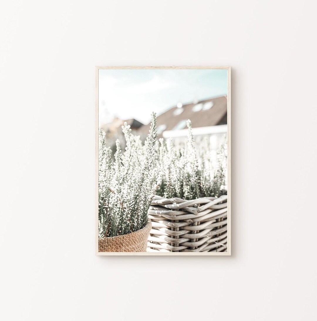 Printable Boho Farmhouse Wall Art, Neutral Botanical Photography, Dried ...
