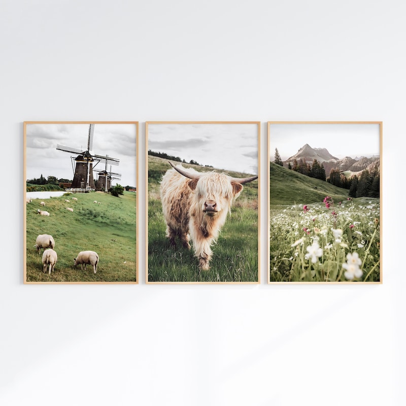 Highland Cow Art 3 Piece - Etsy