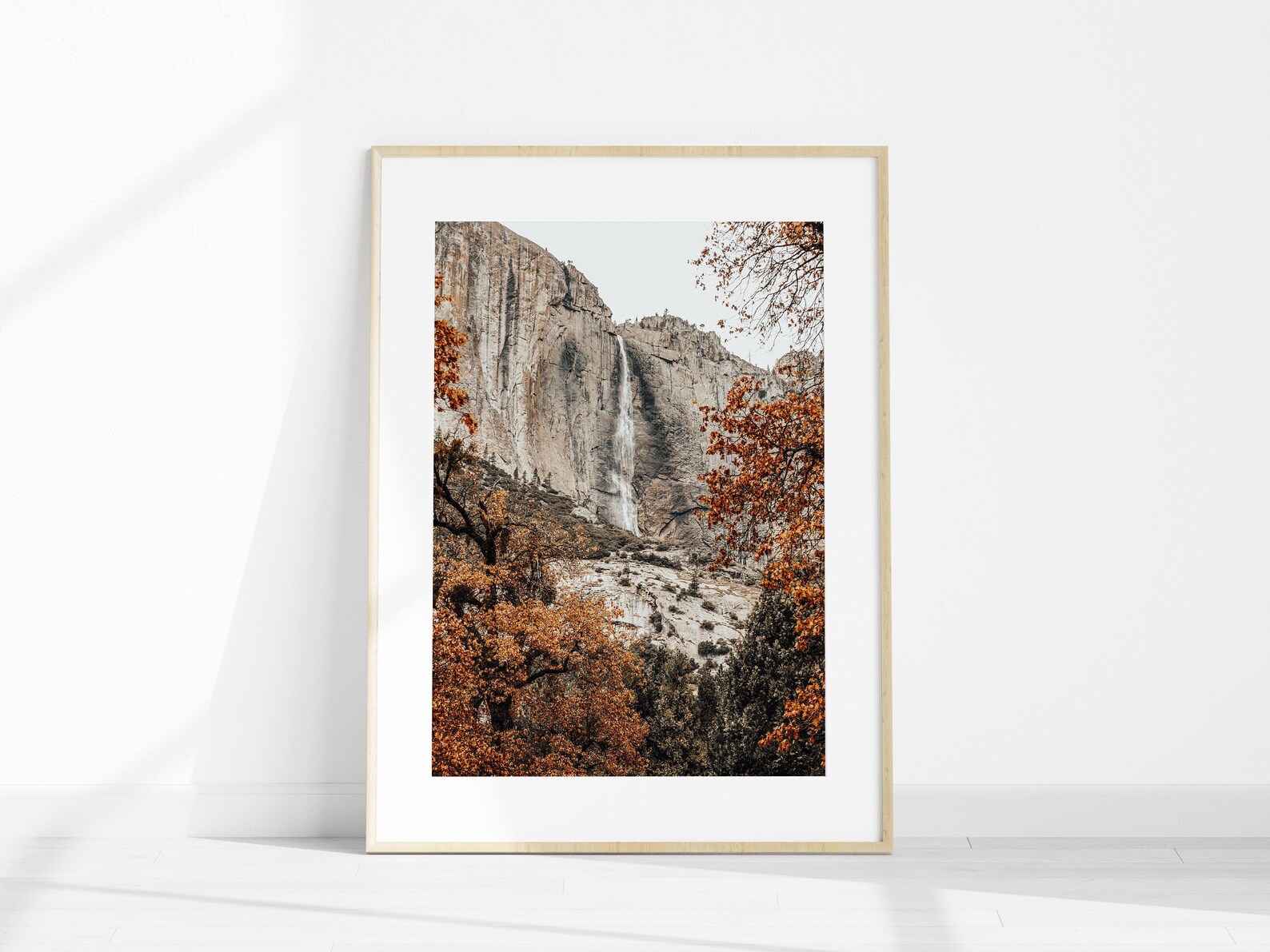 Fall Forest Set of 6 Printable Photography, Autumn Nature Gallery Wall ...