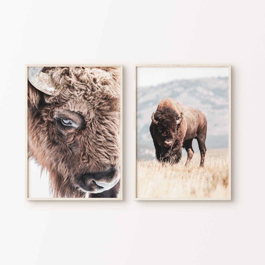 Bison Close-up 2 Pieces Wall Art, Buffalo Set of 2 DIGITAL Prints ...