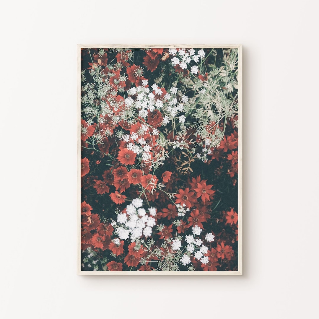 Red Flower Wall Art, Wildflower Print, Neutral Botanical Digital Print ...