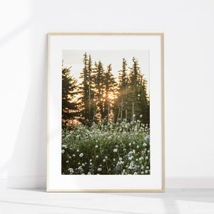 Printable Wildflowers Set of 3 Prints, Nature Landscape 3 Pieces Large ...