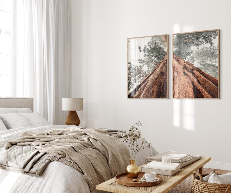 Printable Tree Split Photography, Printable Sequoia Redwood 2 Pieces ...