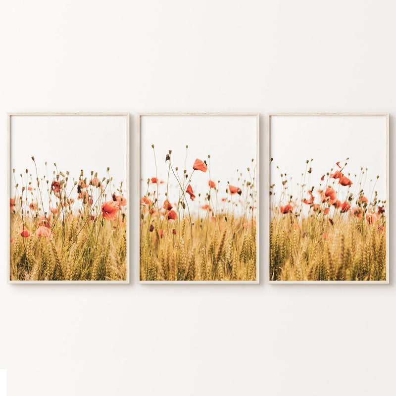 Poppy Wall Art - Etsy