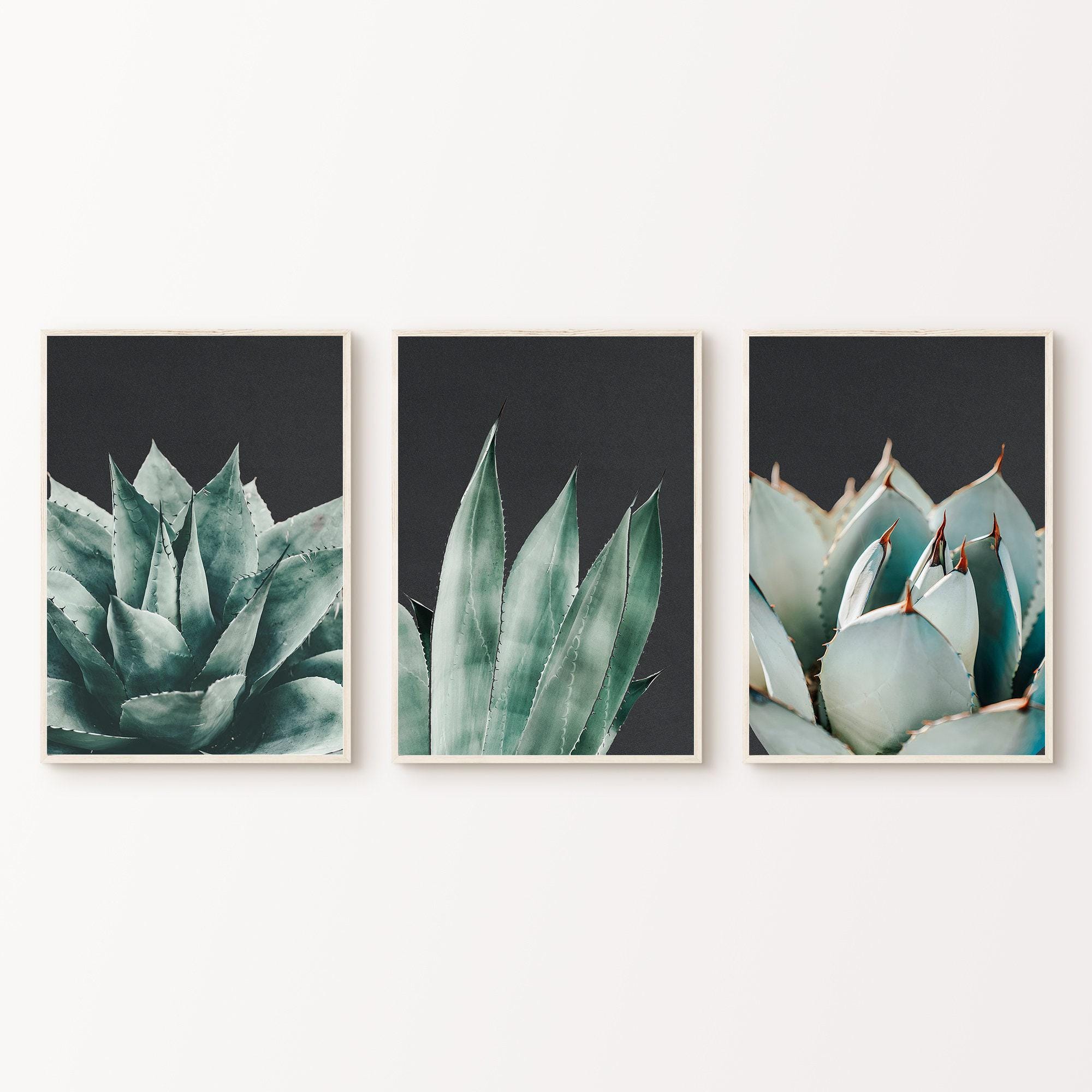 Succulent Set of 3 Prints, Printable Botanical 3 Pieces Wall Art ...