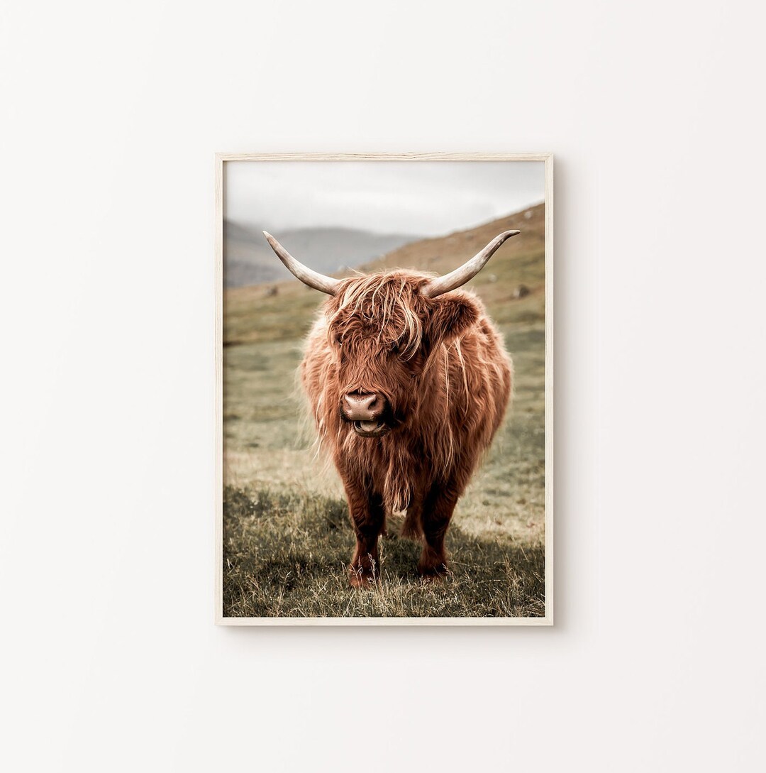 Printable Highland Cow Photography, Scottish Cow Poster, Rustic ...