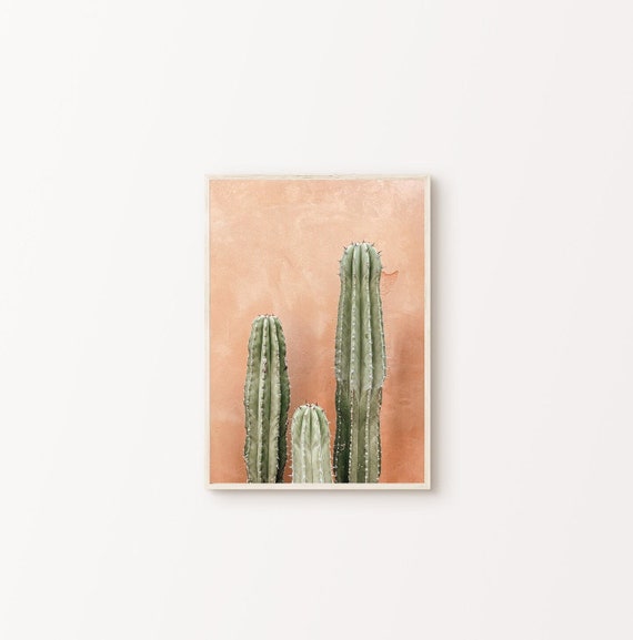 Mexican Desert Cacti