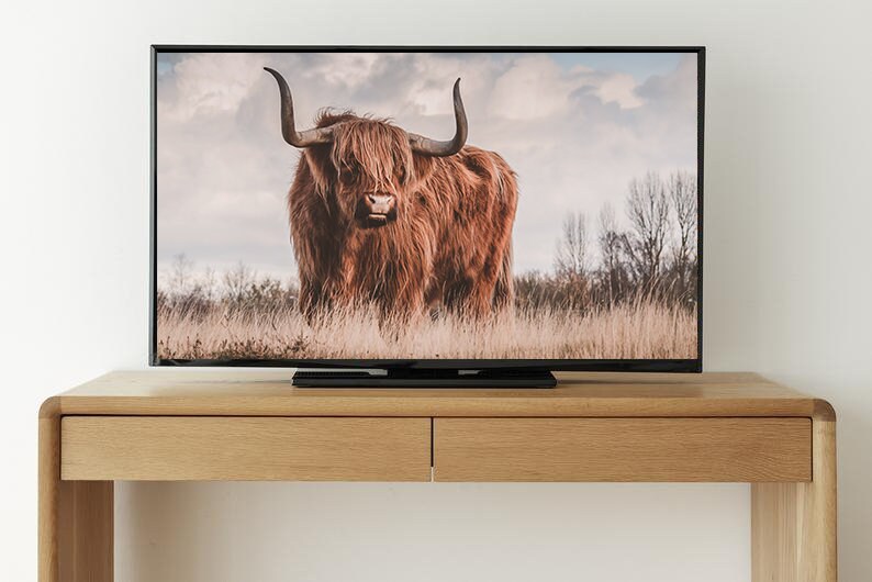 Highland Cow Samsung Frame TV, Western 4K Frame TV Art, Cattle Digital ...