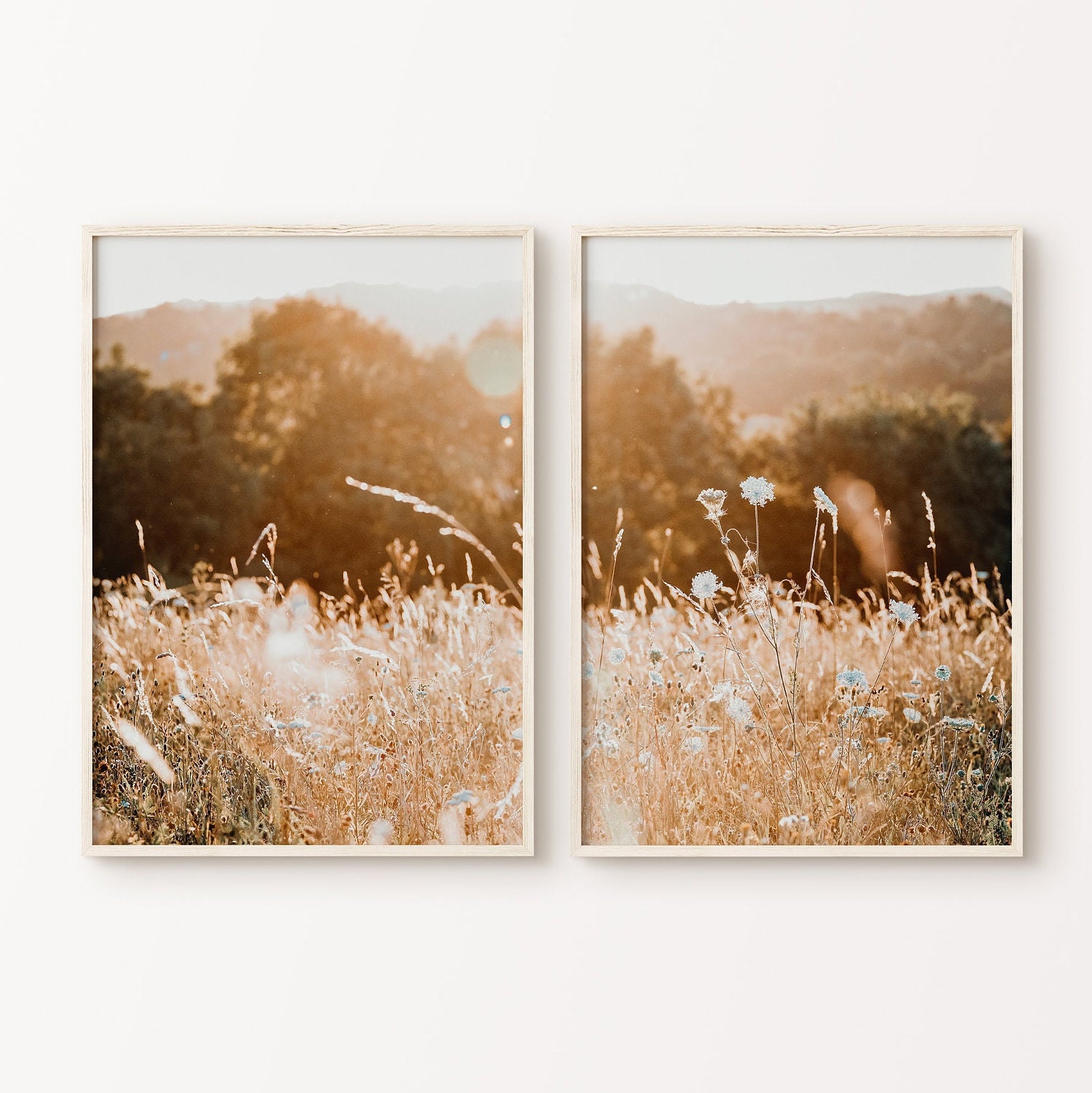 Boho Photography Nature