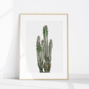 Cactus Set of 2 Prints, Printable Cactus 2 Pieces Wall Art, Modern Boho ...