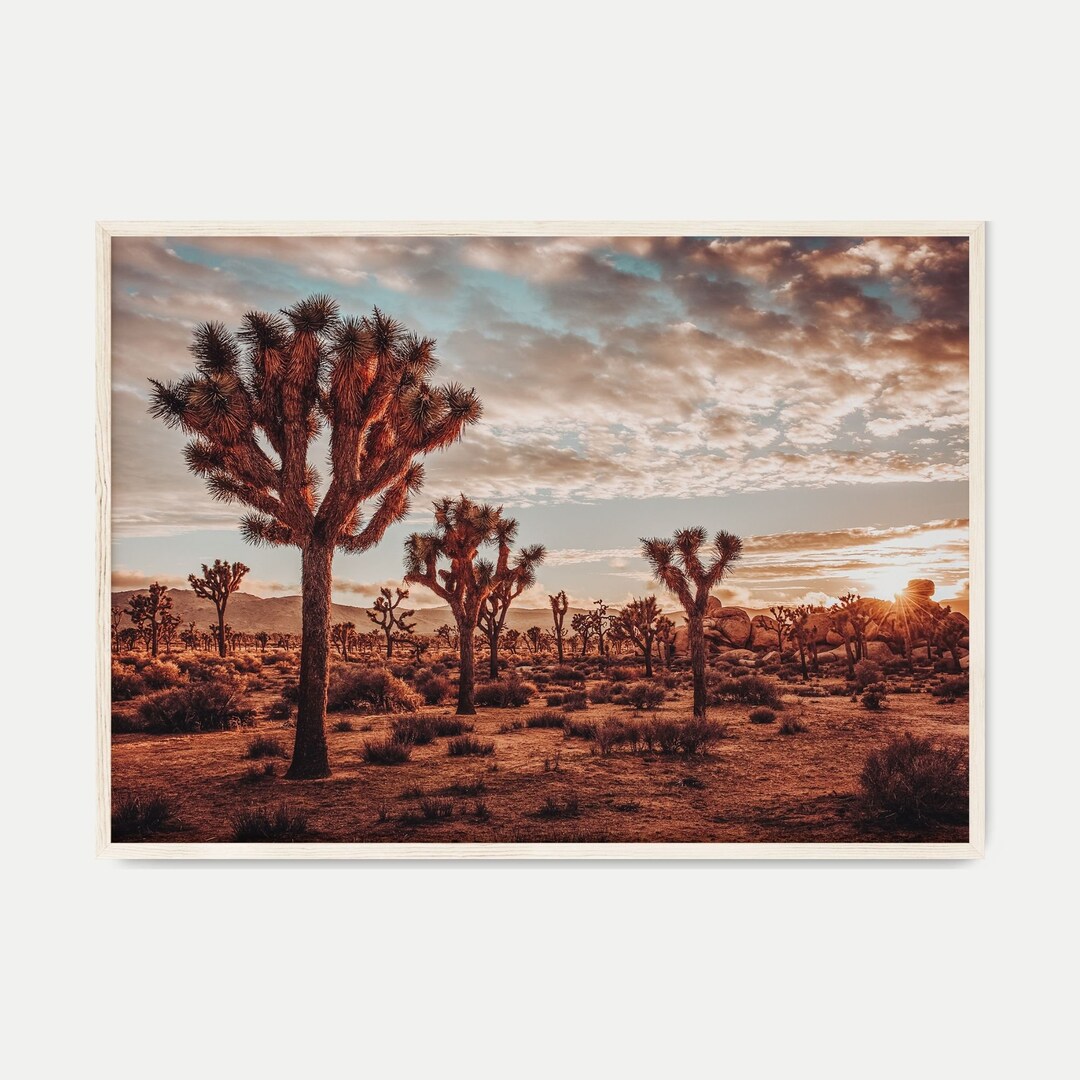 Sunset Joshua Tree Landscape Print DIGITAL, Saguaro Cactus Desert ...
