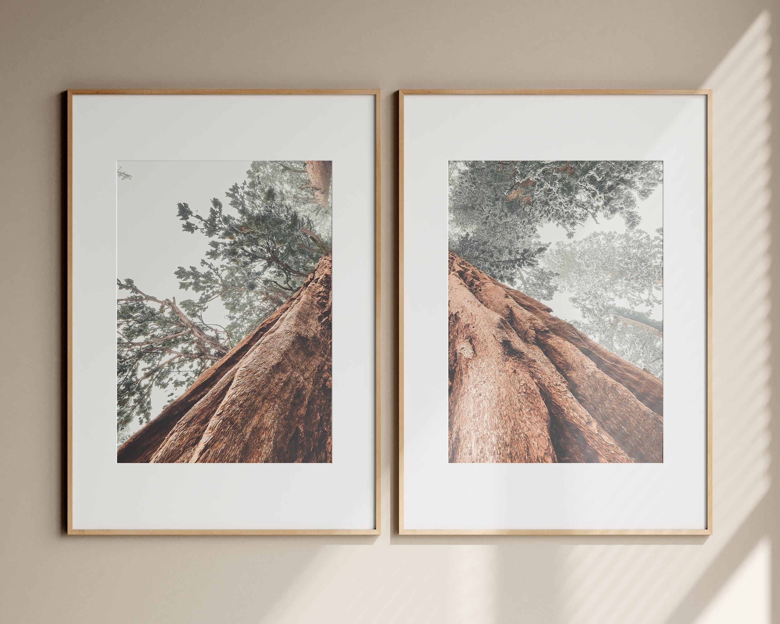 Printable Tree Split Photography, Printable Sequoia Redwood 2 Pieces ...