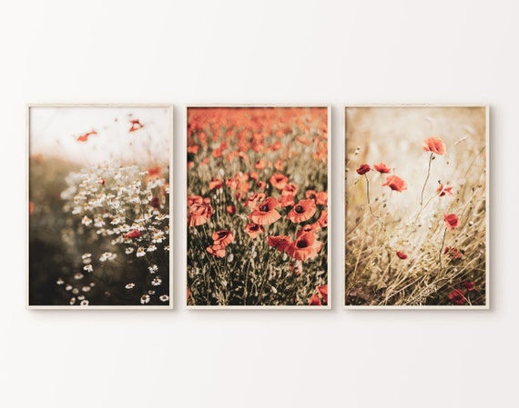 Poppies Field Set of 3 Prints DIGITAL Poppy Flowers 3 Pieces | Etsy