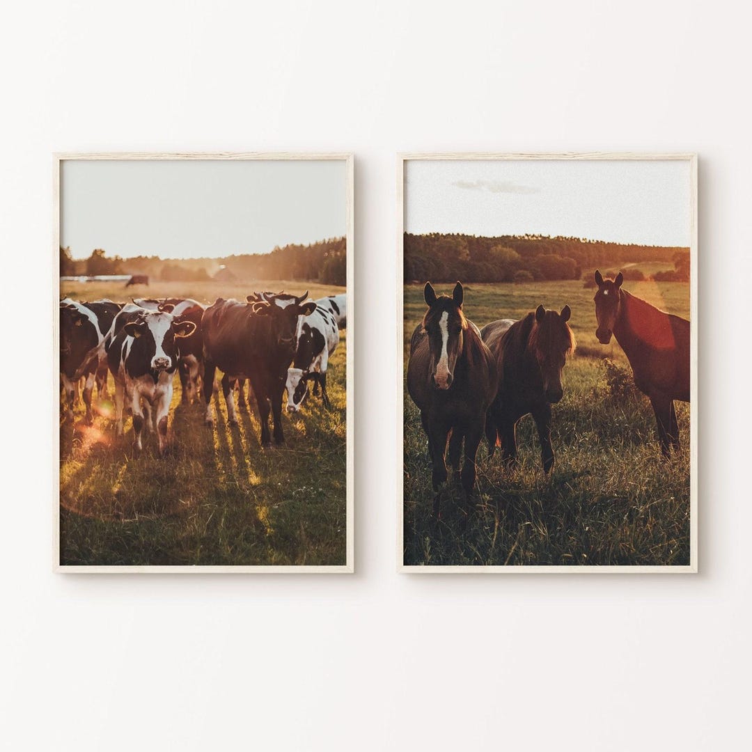 Farm Animals Set of 2 Photography Print, DIGITAL Rustic Farmhouse 2 ...