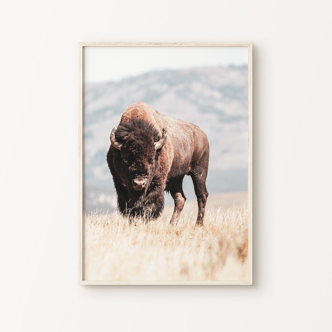 Printable Buffalo Wall Art, Bison Print DIGITAL , Southwestern Large ...