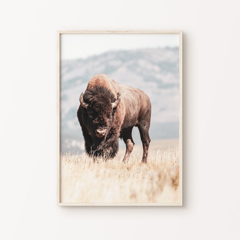 Bison Print - Etsy