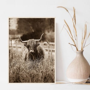 Highland Cow Gallery Wall Set, Southwest Set of 6 Prints, Rustic ...