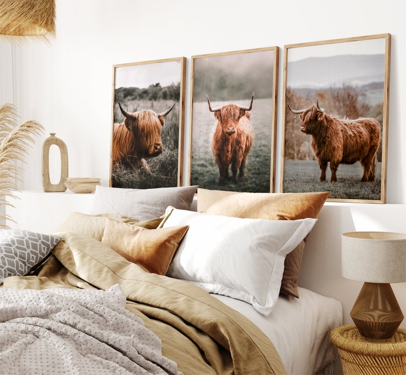 Highland Cow Set of 3 Printable Photography Scottish Cow 3 - Etsy