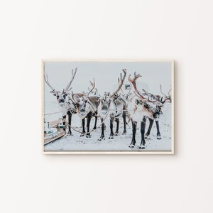 Winter Theme Gallery Wall Set of 6 Prints, Printable Nordic Wall Art ...