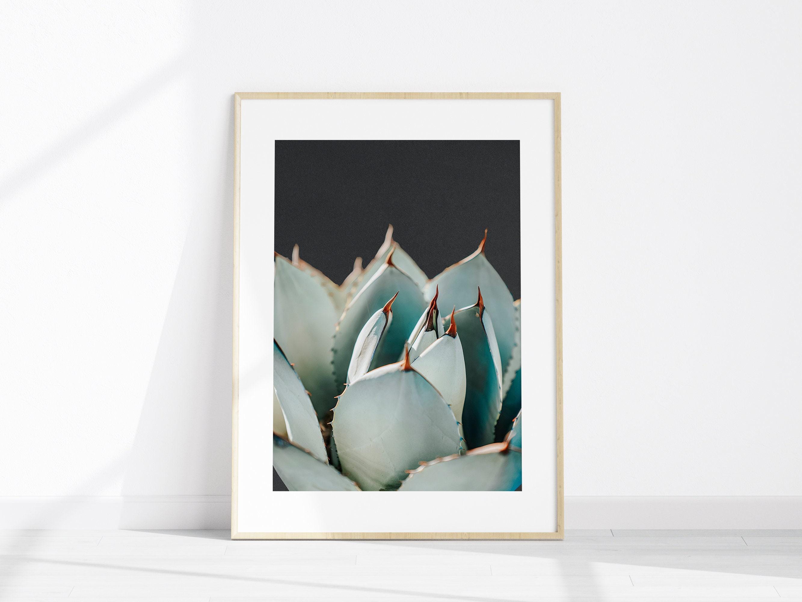 Succulent Set of 3 Prints, Printable Botanical 3 Pieces Wall Art ...