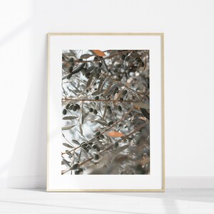 Printable Mediterranean 3 Pieces Wall Art, Set of 3 Italy Print ...