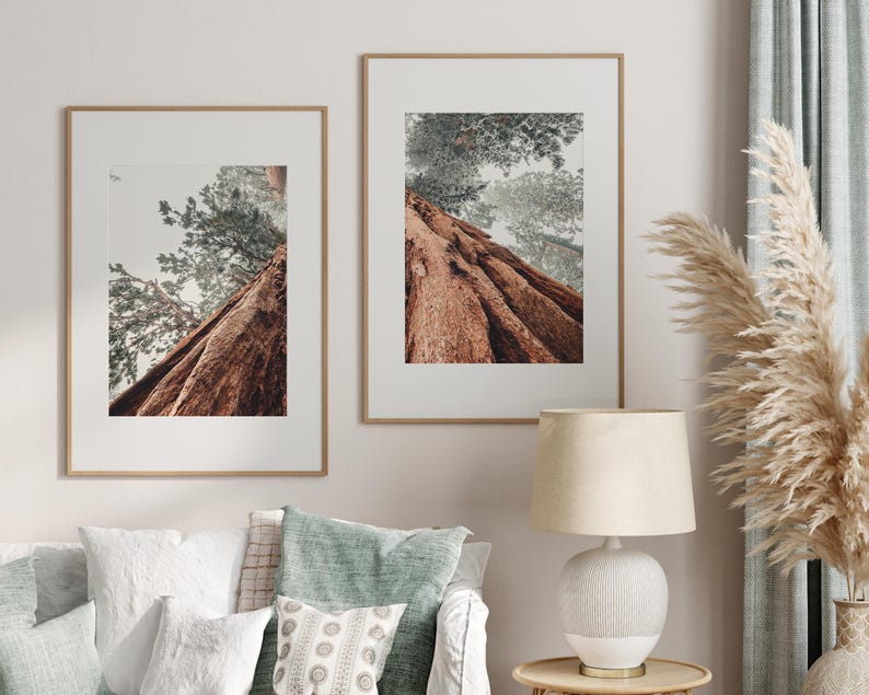 Printable Tree Split Photography, Printable Sequoia Redwood 2 Pieces ...