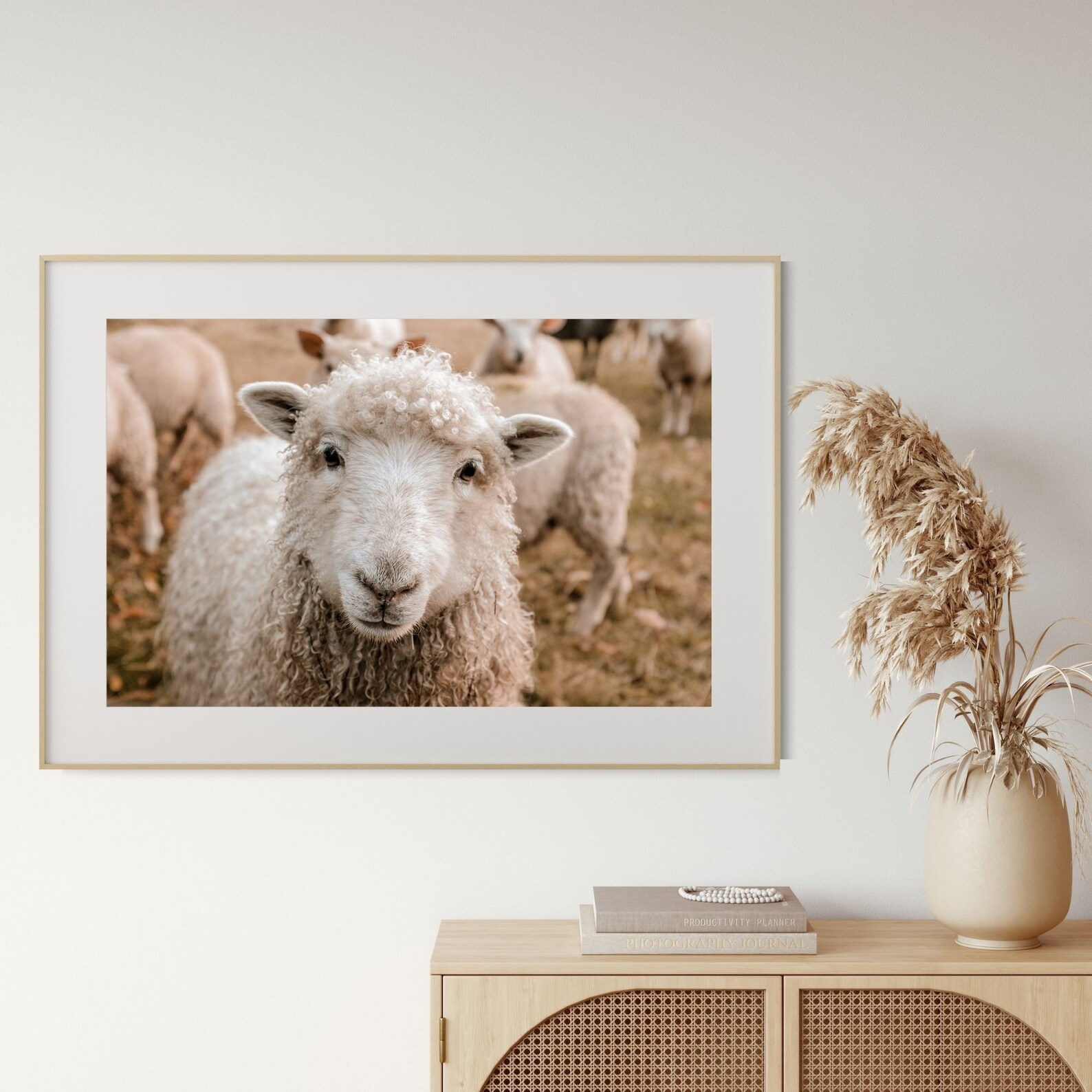 Printable Sheep Photography Lamb Close-up Print Animal Farm - Etsy