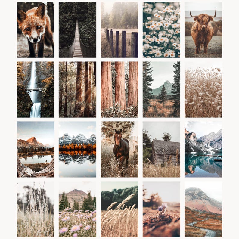 Nature Prints Bundle, Printable Farmhouse Gallery Wall Art, 100 Prints ...