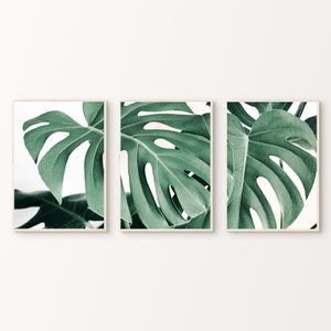 Monstera Set of 3 Split Prints, Printable Botanical 3 Pieces Wall Art ...