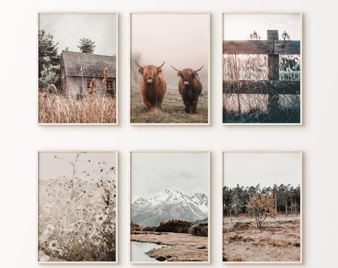 Highland Cow Poster Canvas Painting Autumn Fall Scenery Picture Wall ...
