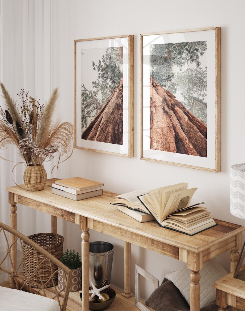 Printable Tree Split Photography, Printable Sequoia Redwood 2 Pieces ...