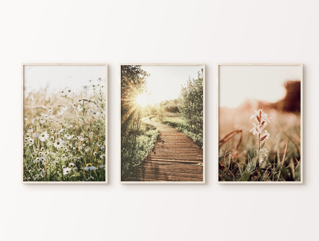 Printable Wildflowers Set of 3 Photography Nature Landscape 3 - Etsy