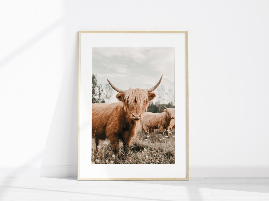 Western Set of 6 Photography, Printable Boho Farmhouse Wall Art ...