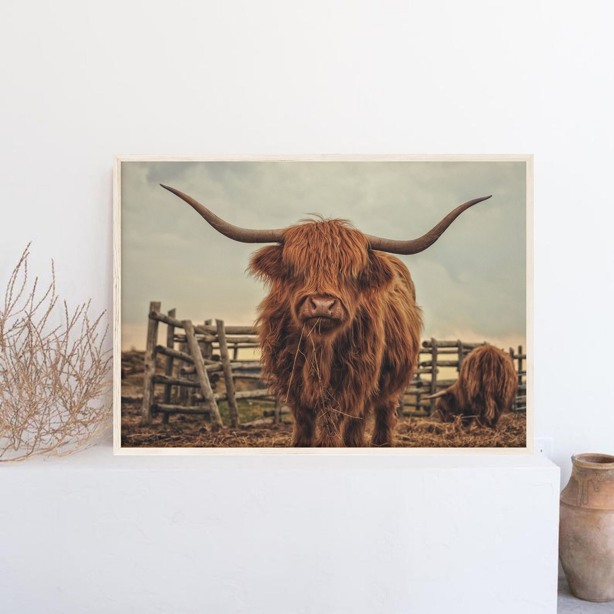 Cattle Landscape Wall Art Highland Cow Rustic Photography - Etsy Canada
