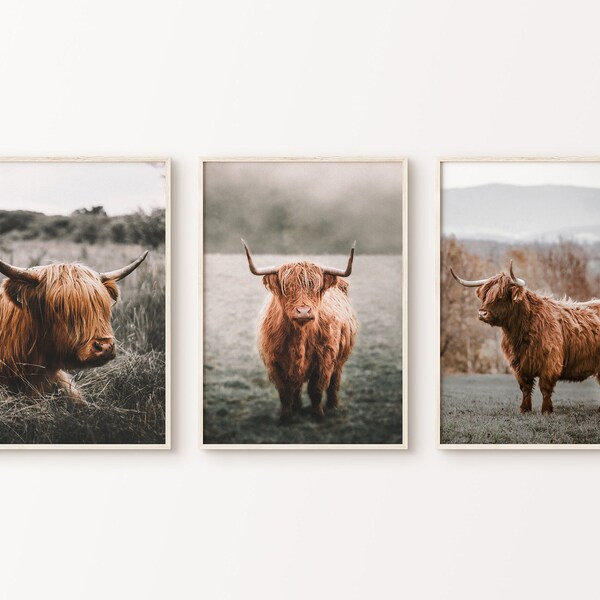 Highland Cow Wall Art - Etsy