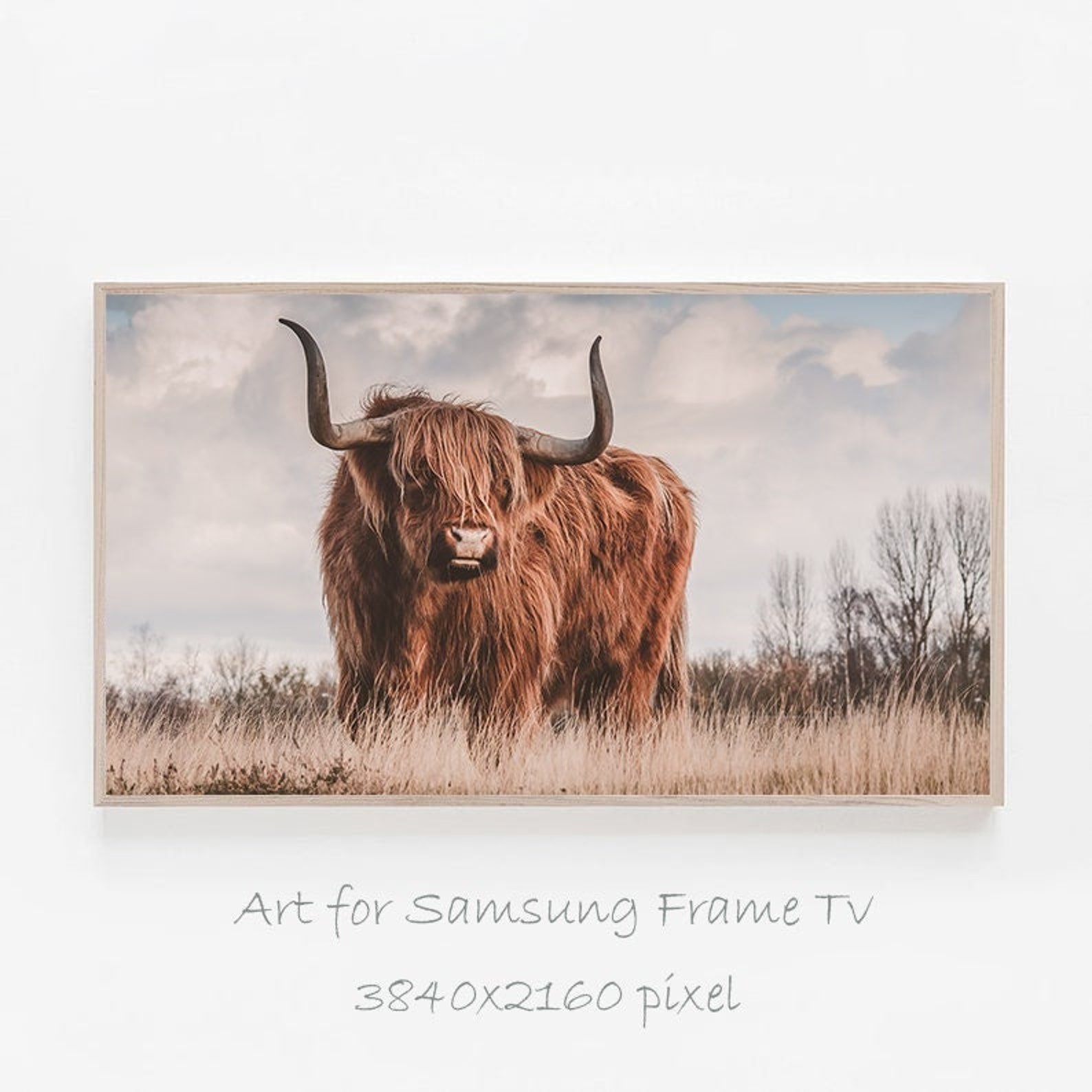 Highland Cow Samsung Frame TV, Western 4K Frame TV Art, Cattle Digital ...