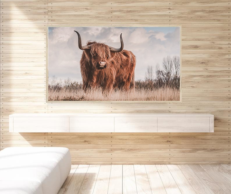 Highland Cow Samsung Frame TV, Western 4K Frame TV Art, Cattle Digital ...