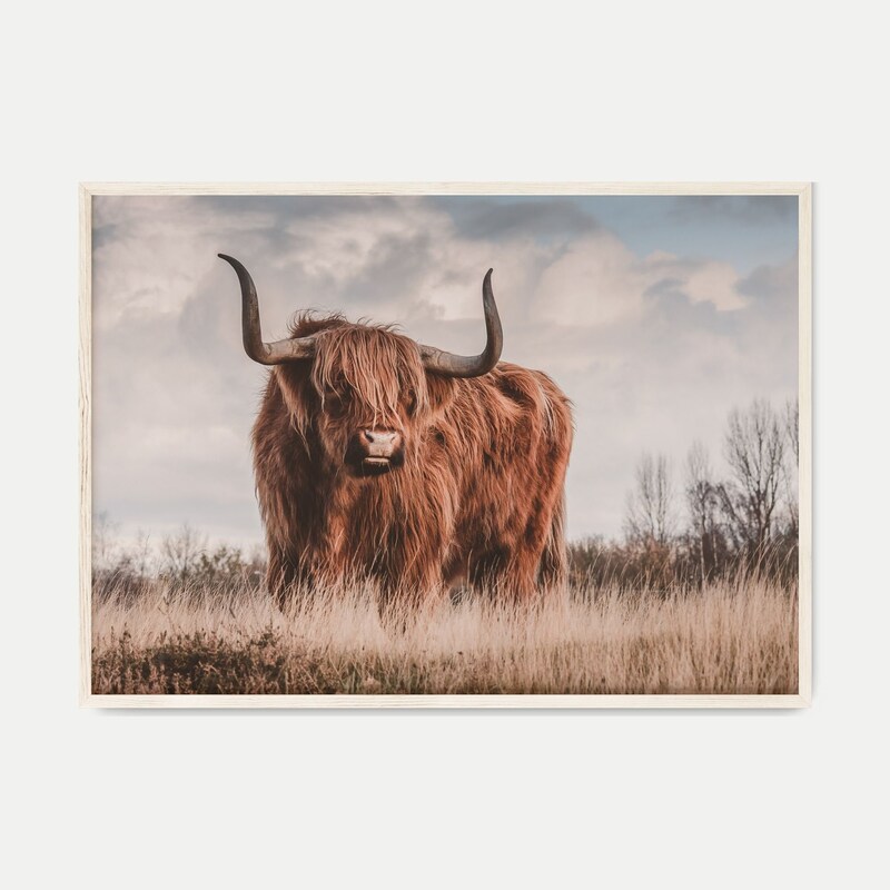 Cow Printable - Etsy