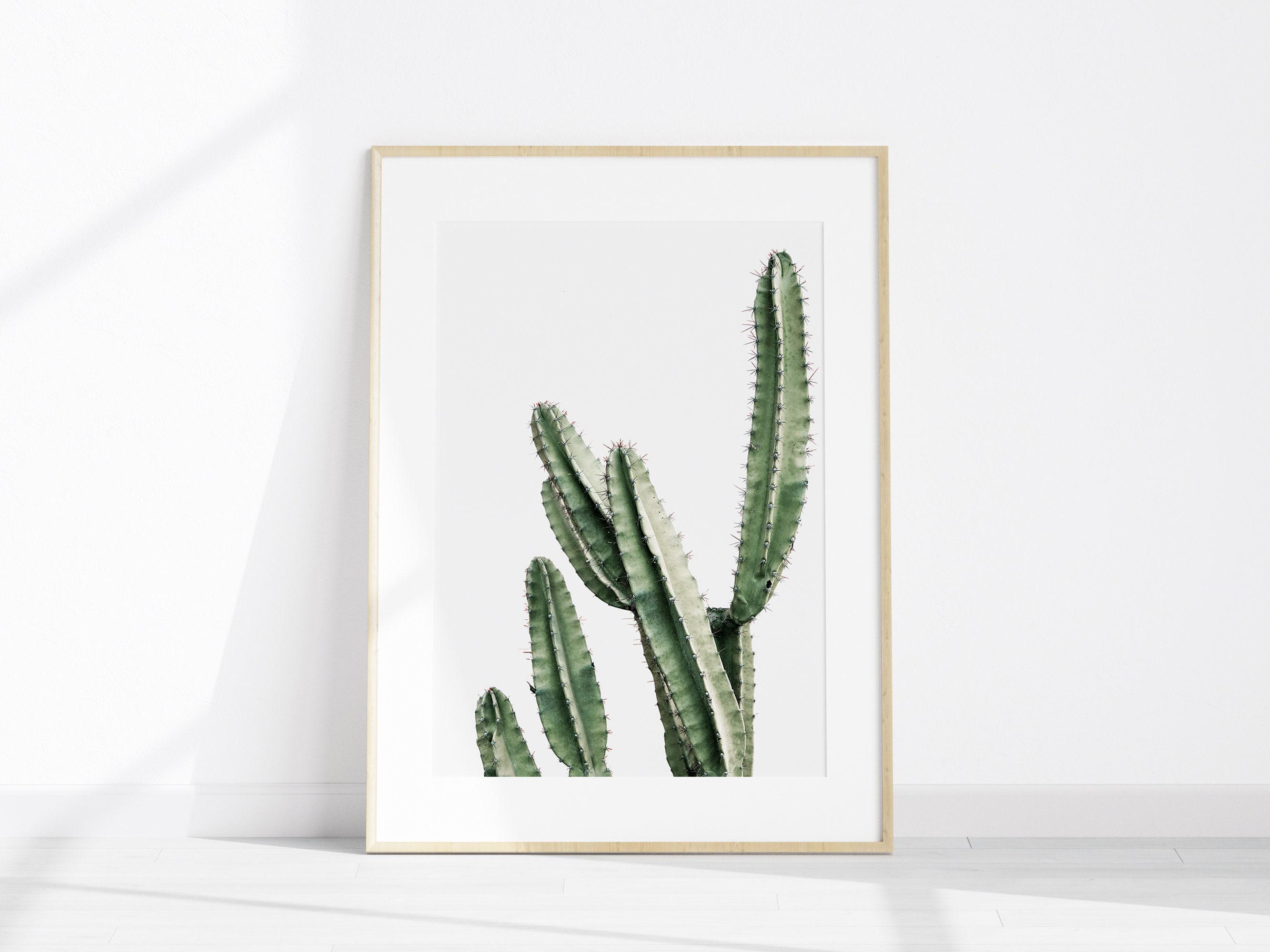 Cactus Set of 2 Prints, Printable Cactus 2 Pieces Wall Art, Modern Boho ...