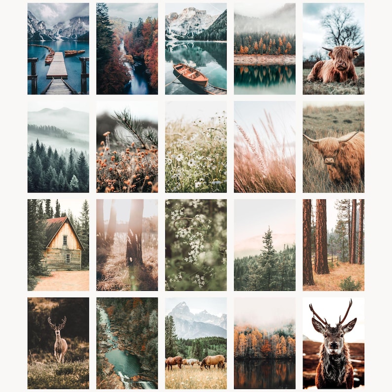 Nature Prints Bundle, Printable Farmhouse Gallery Wall Art, 100 Prints ...