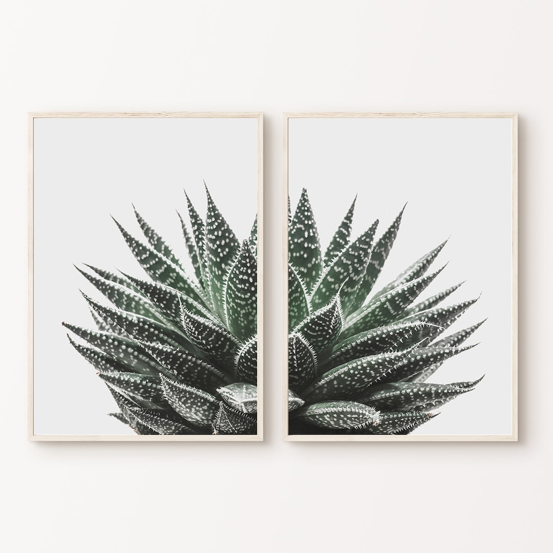 Succulent Set of 2 Prints, Printable Botanical 2 Pieces Wall Art ...