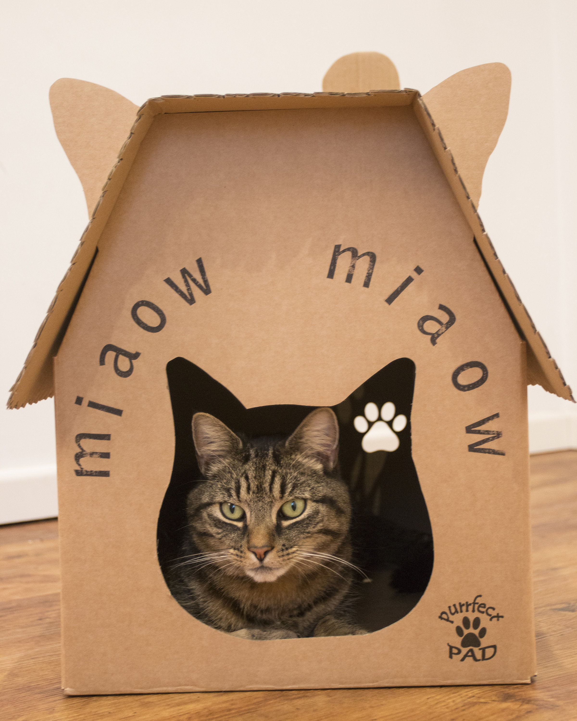 Personalised Cardboard Cat House. Unique Fun Hideaway. Purrfect for ...